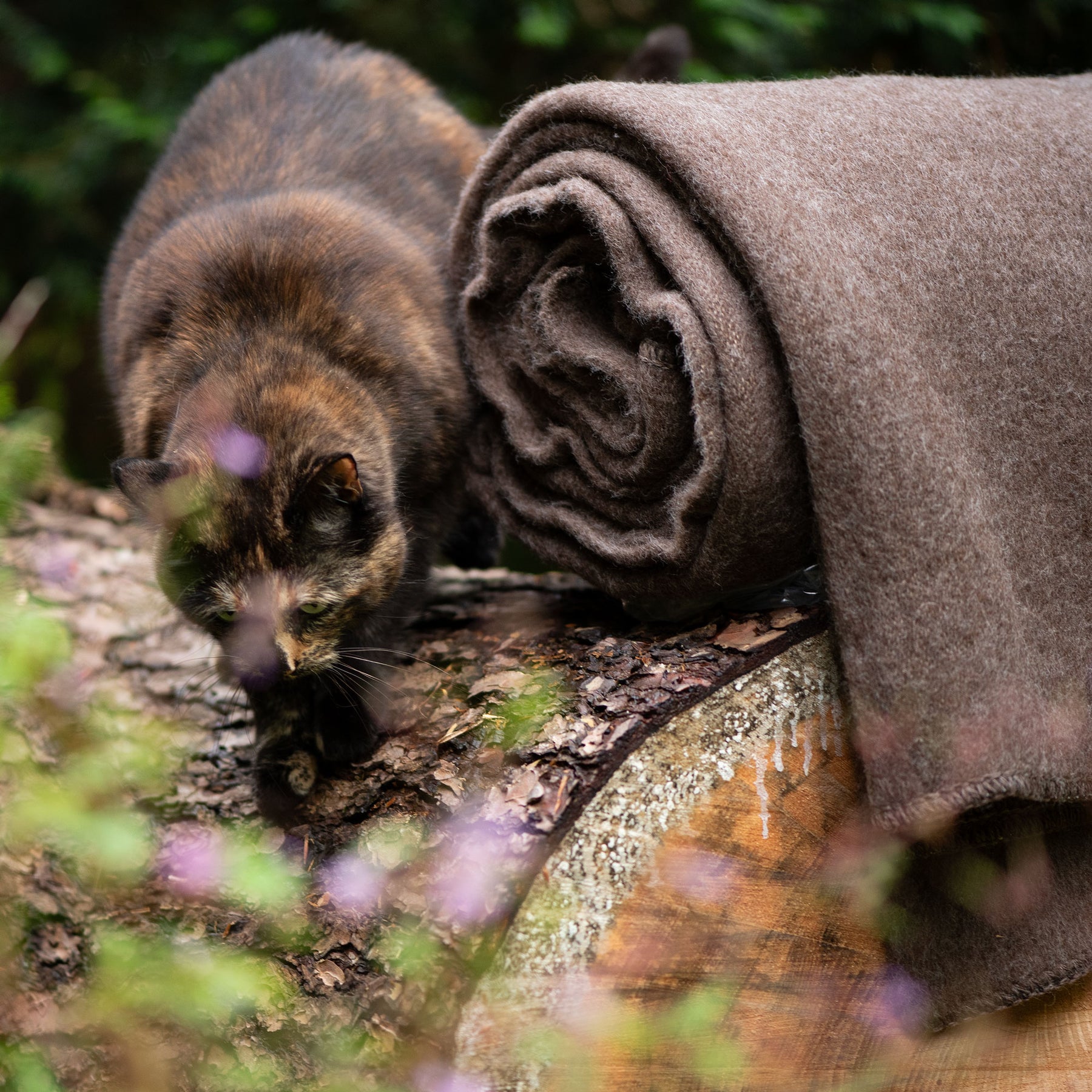Fine Merino Wool Throws & Pure New Wool Blankets | Luvian Woollens